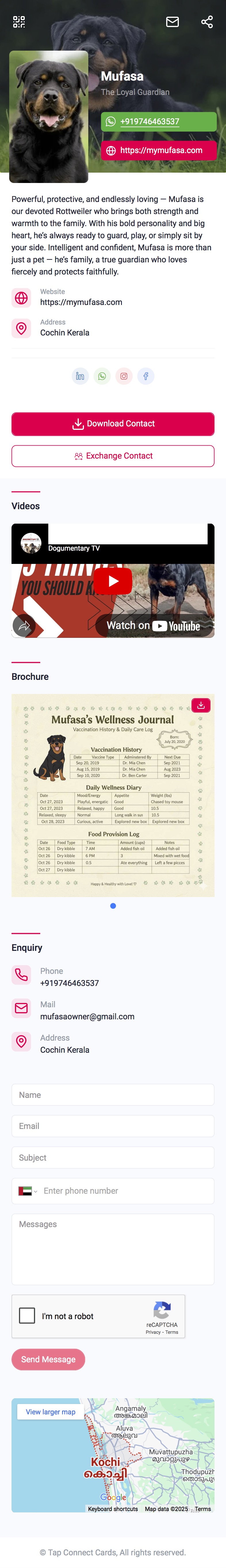 Furry Friends | NFC Solutions | Webzido